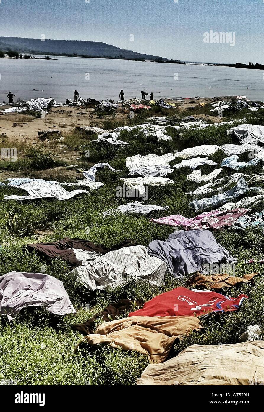 Drying plants hi-res stock photography and images - Alamy