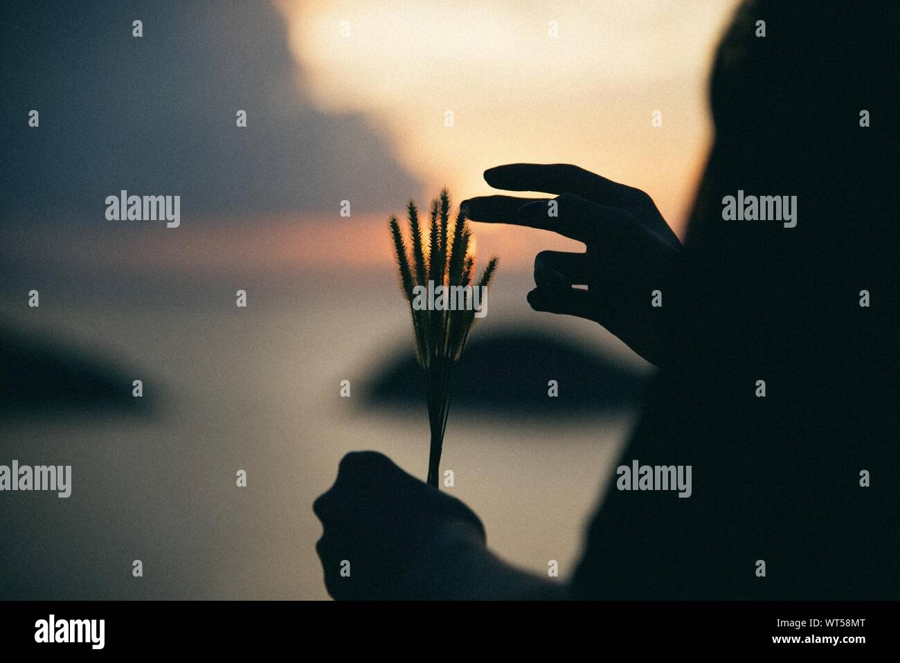 Hands touching silhouette hi-res stock photography and images - Alamy