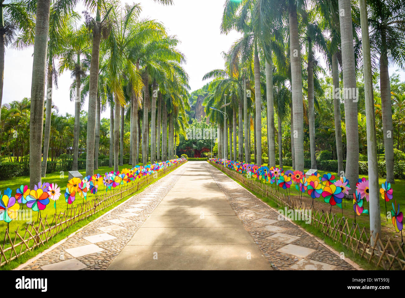 Danzhou Stone Flower Caves, Geopark next to Haikou, Hainan, China Stock ...