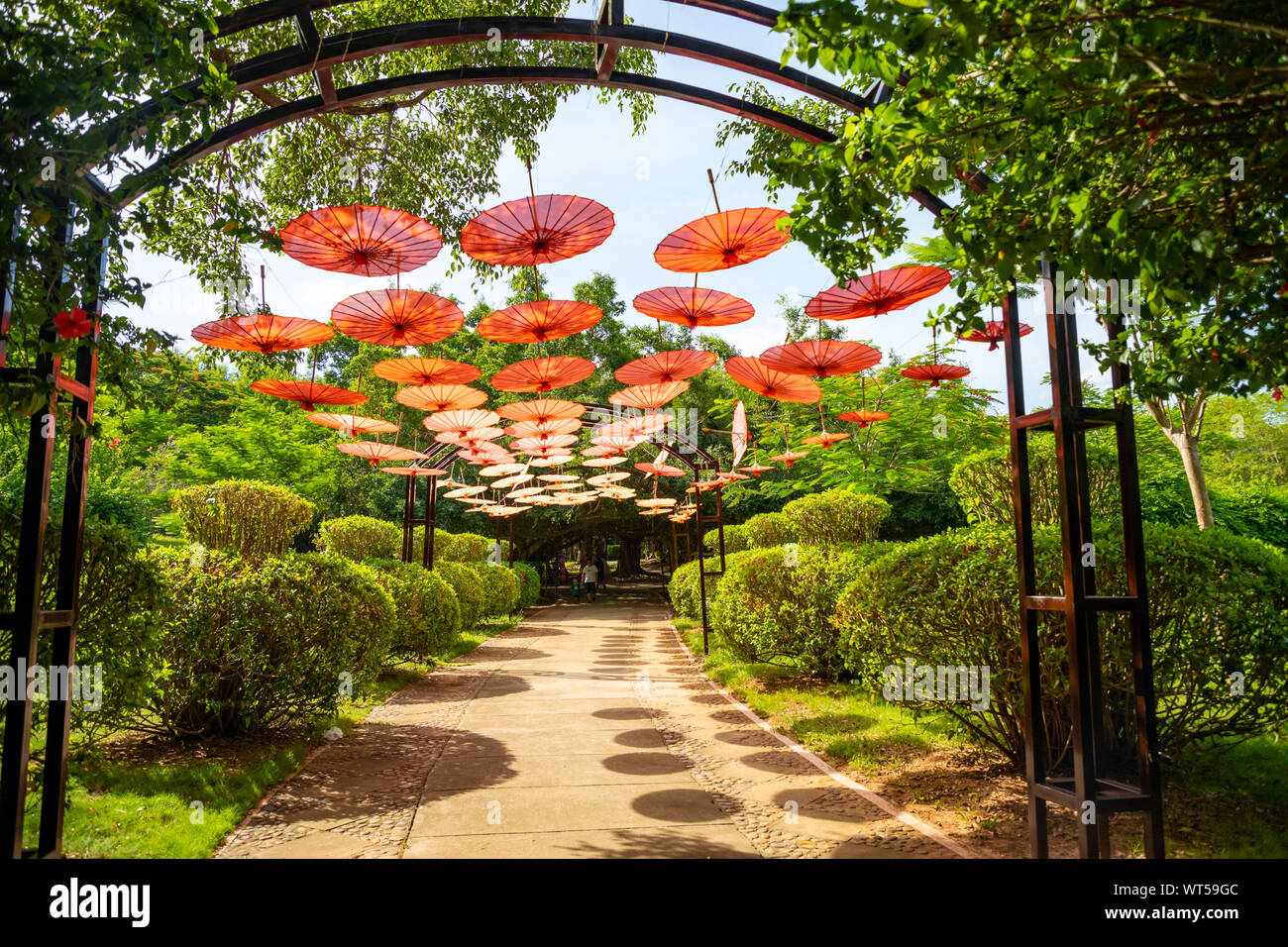 Danzhou Stone Flower Caves, Geopark next to Haikou, Hainan, China Stock ...