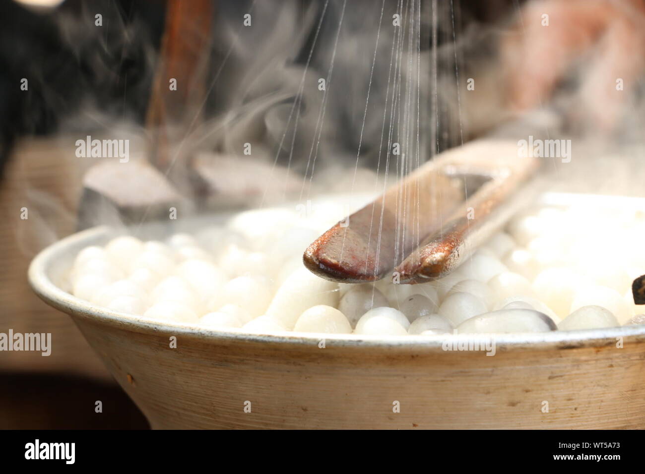 Reeling silk of cocoon hi-res stock photography and images - Alamy