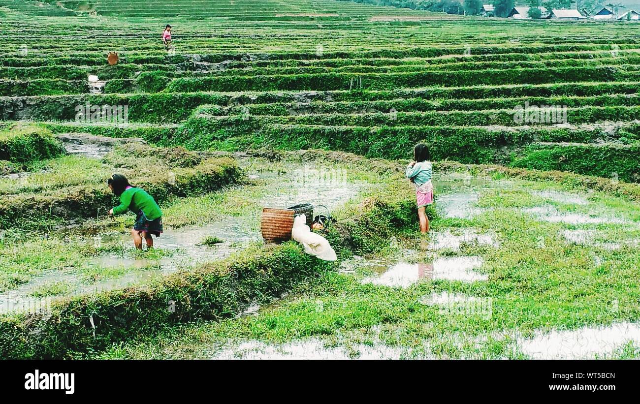 Girls working hi-res stock photography and images - Alamy