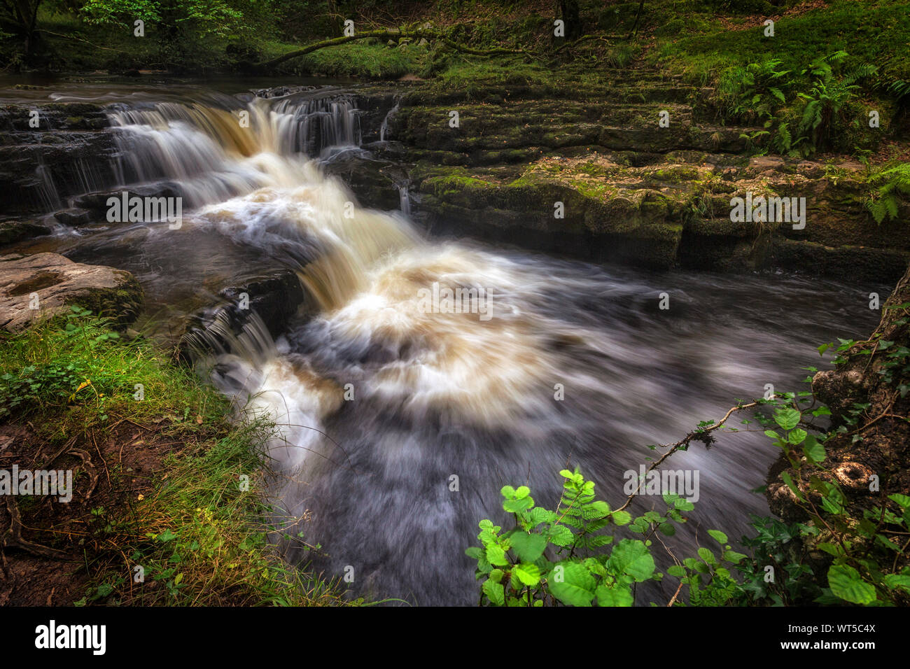 Neath waterfalls hi-res stock photography and images - Alamy