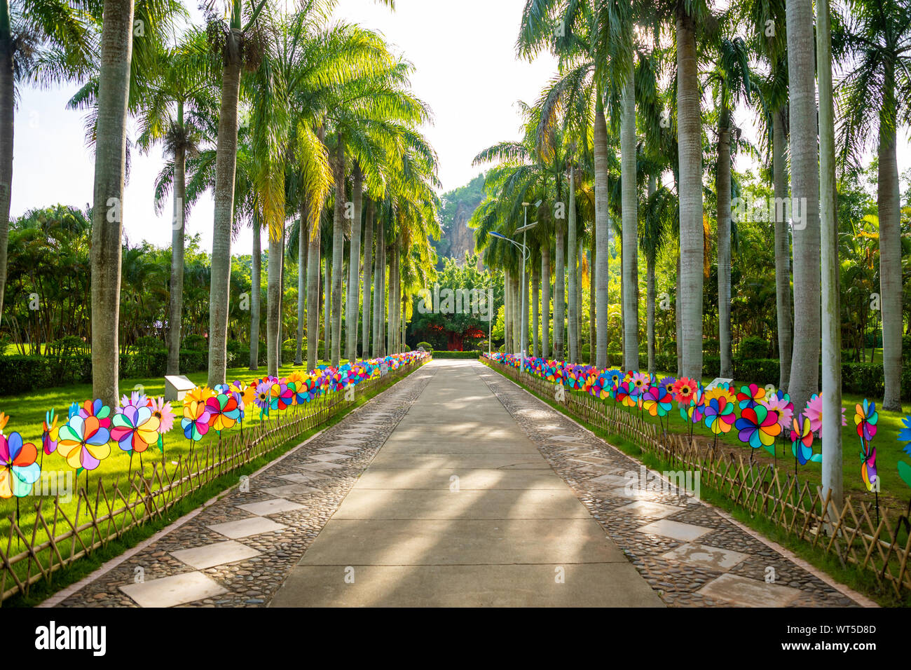 Danzhou Stone Flower Caves, Geopark next to Haikou, Hainan, China Stock ...