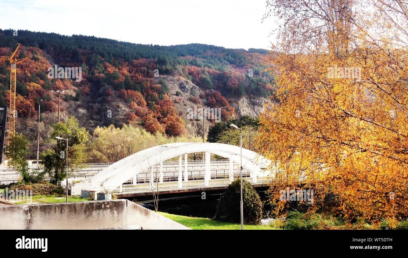 Foot arch hi-res stock photography and images - Alamy