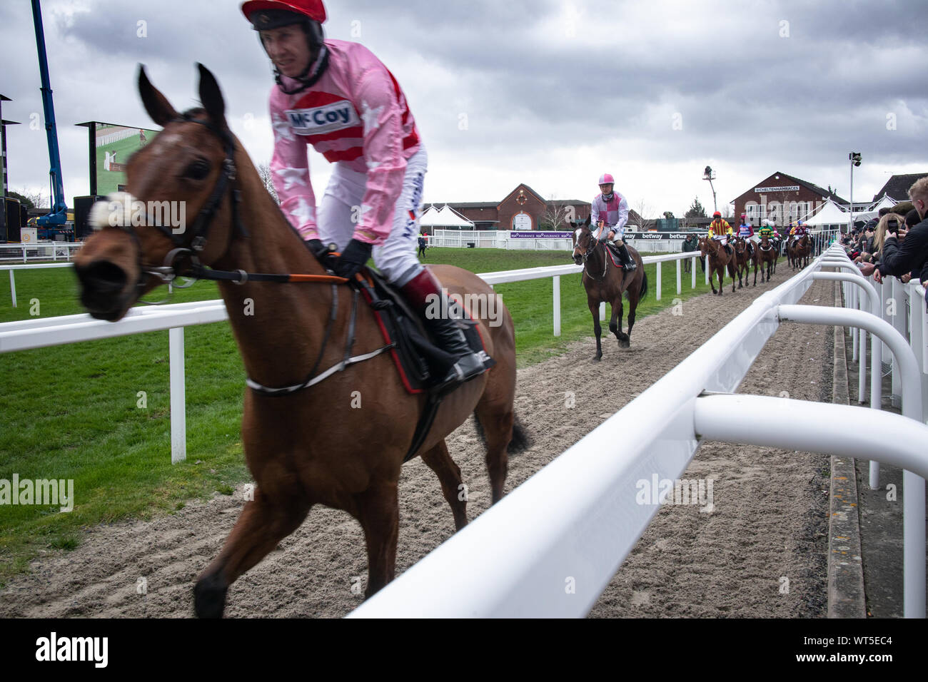 Winning race horses head to the parade ring at the world famous ...