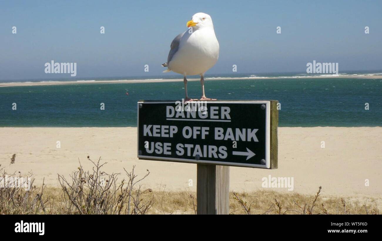 Warning sign board on beach hi-res stock photography and images - Alamy