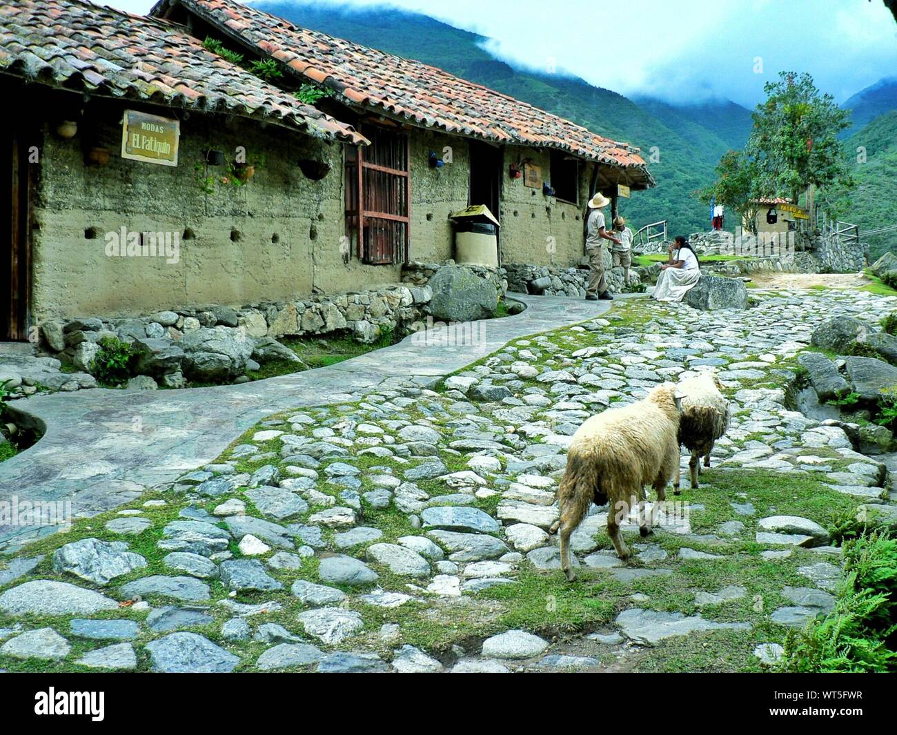 Sheep houses hi-res stock photography and images - Alamy