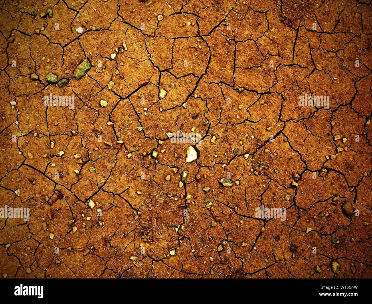 Natural cracked soil hi-res stock photography and images - Alamy