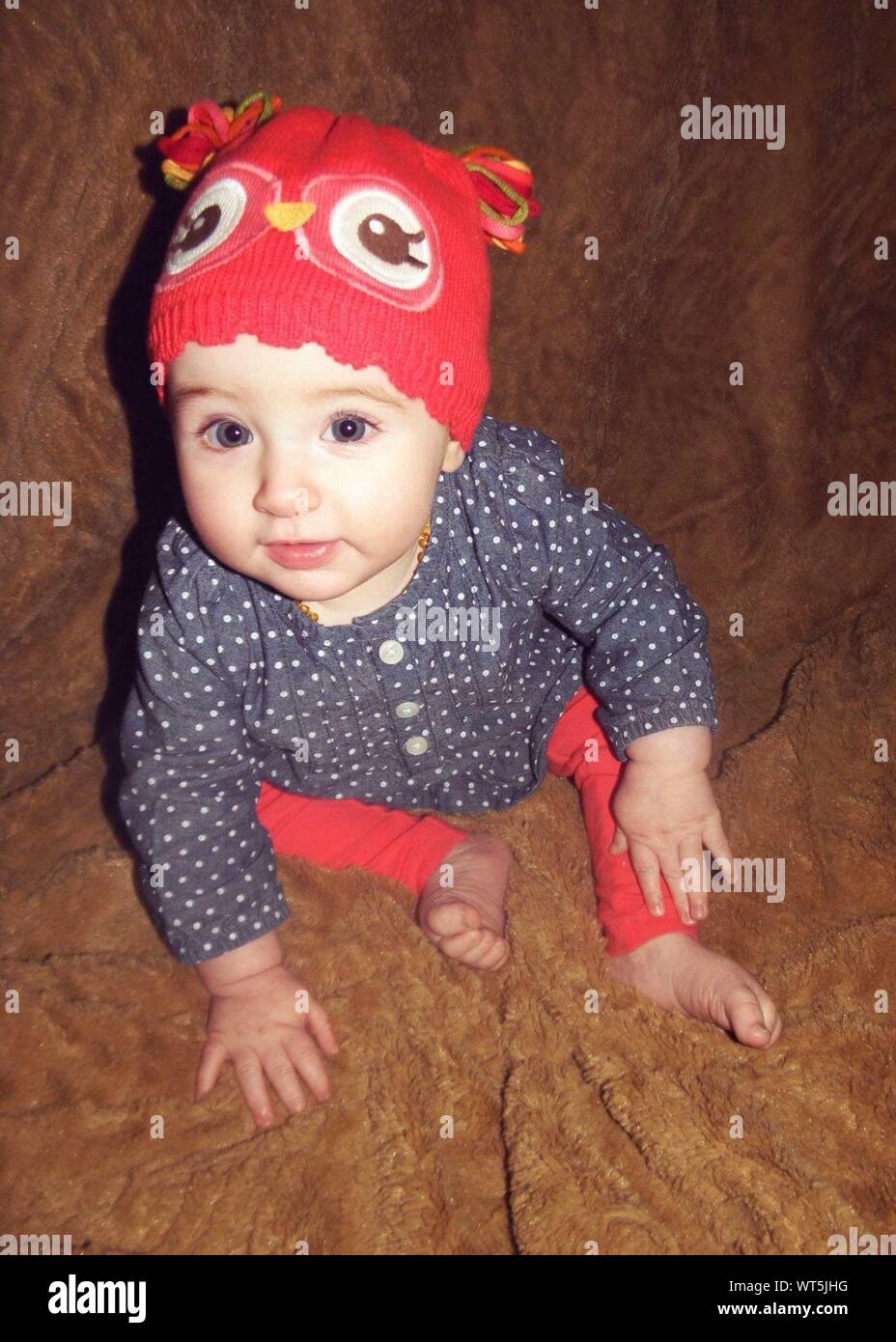 Girl owl hi-res stock photography and images - Alamy