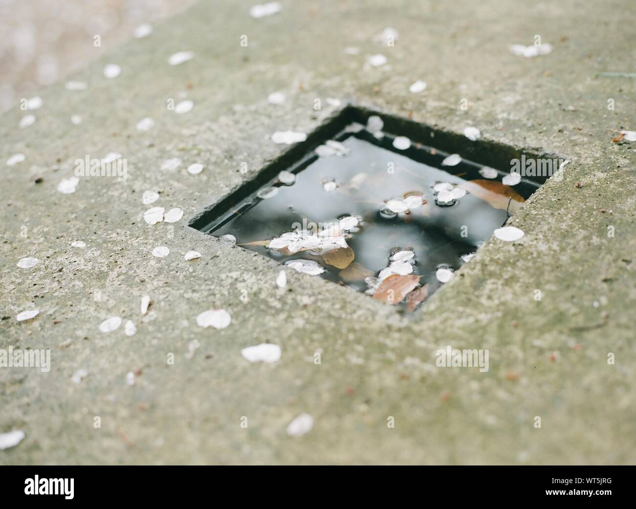 Falling into hole hi-res stock photography and images - Alamy