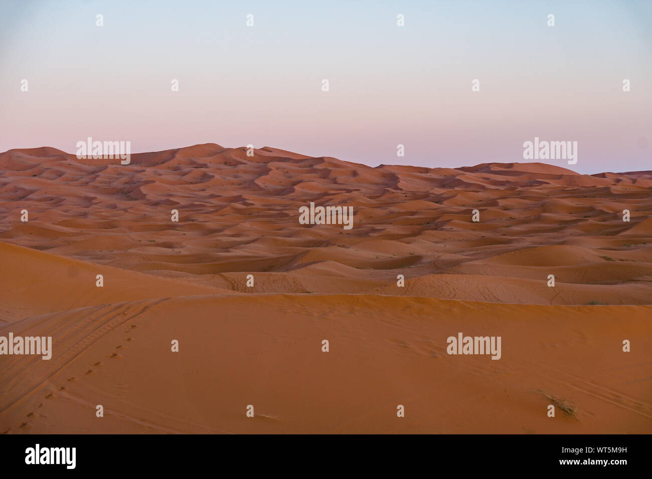 Gorgeous and scenic desert scene with the moon crescent high above ...