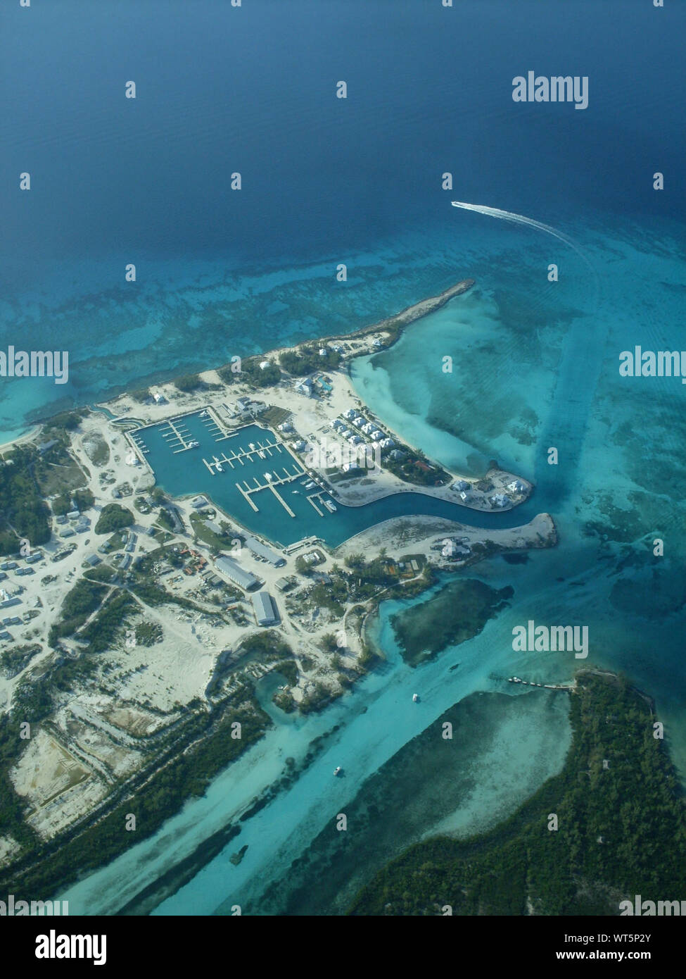 Sea chub hi-res stock photography and images - Alamy