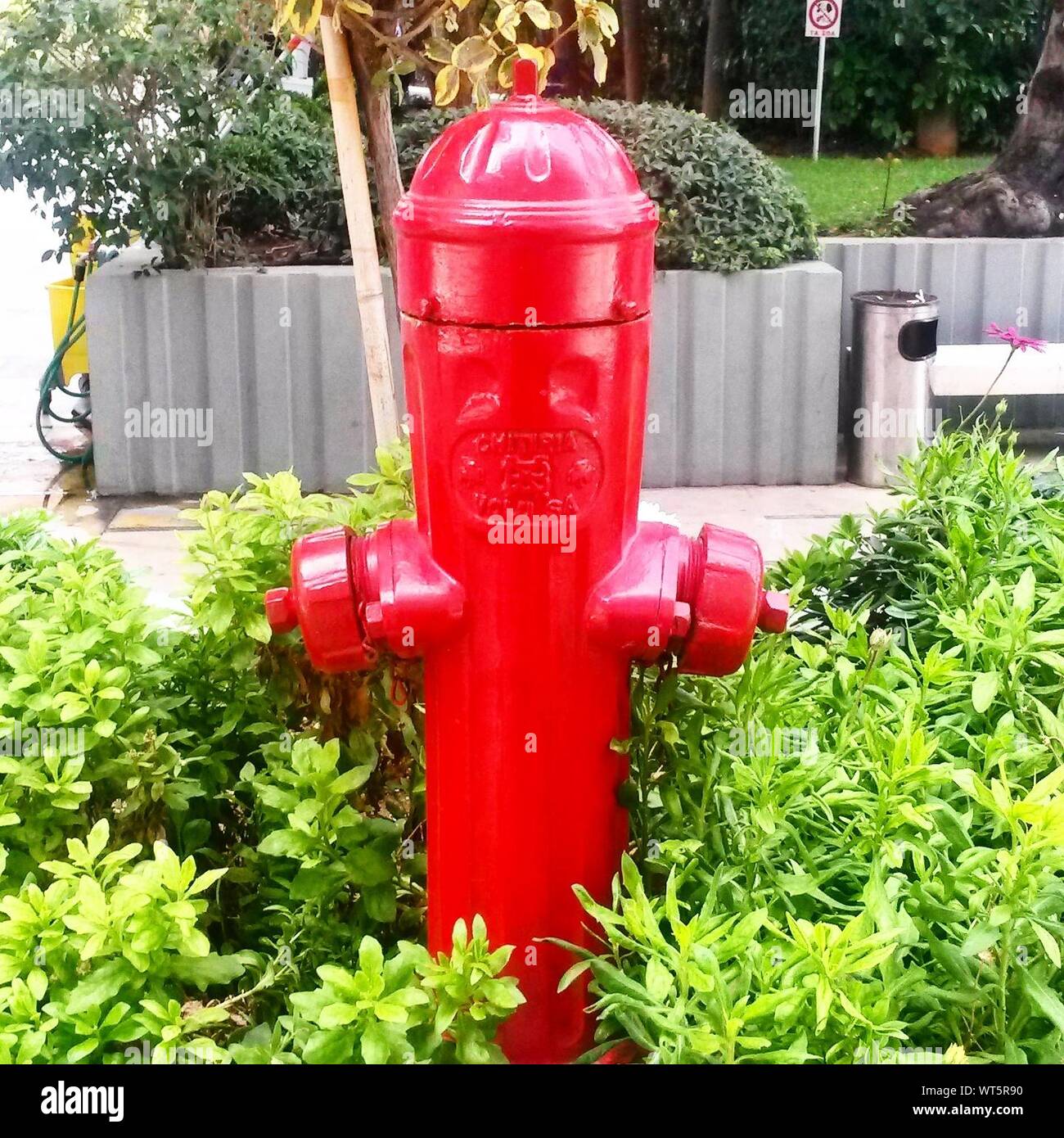 Close-up Of Fire Hydrant Amid Plants Stock Photo - Alamy