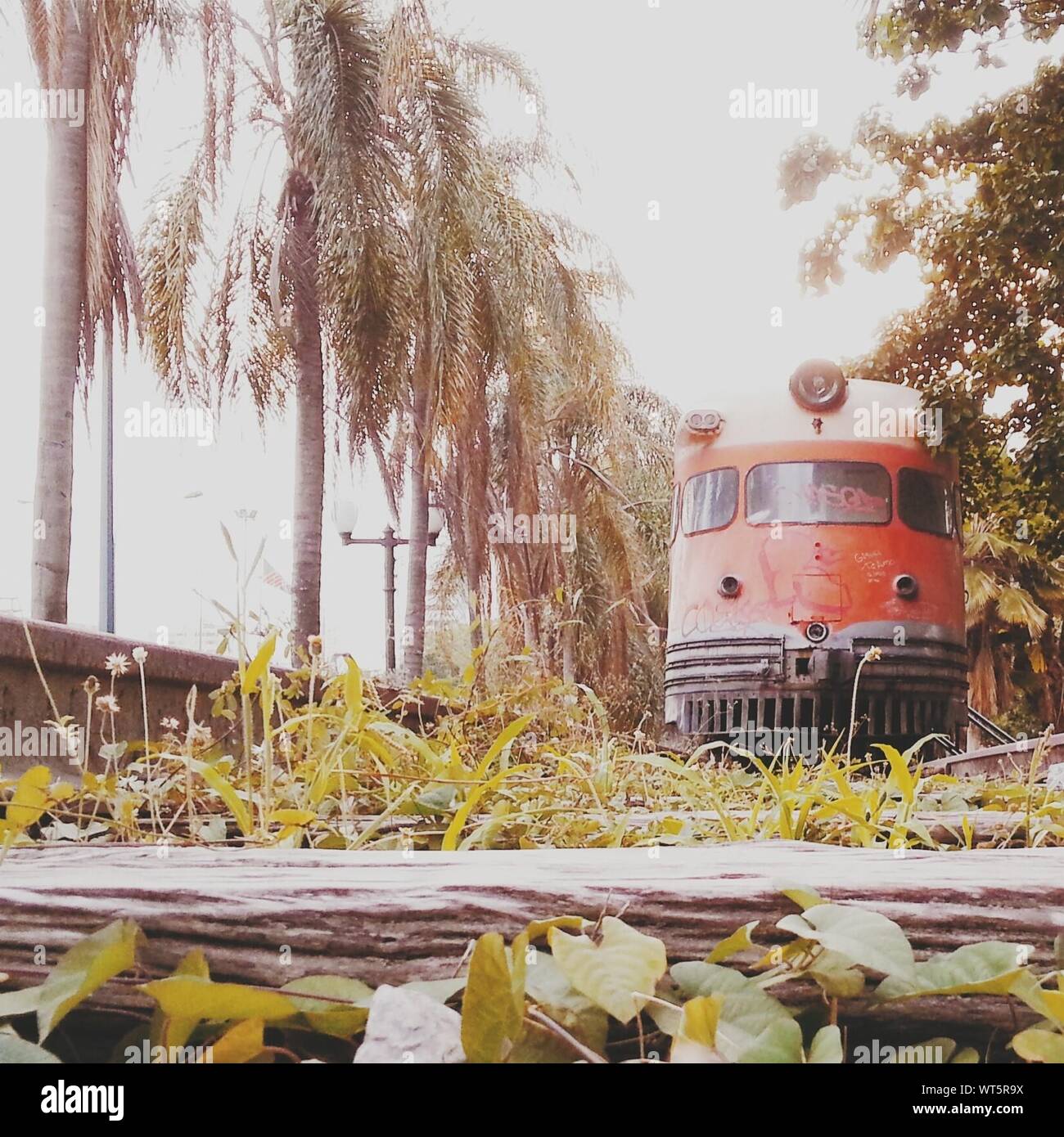 Log railroad hi-res stock photography and images - Alamy