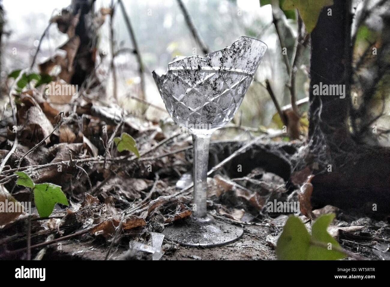 Broken drinking glass hi-res stock photography and images - Alamy