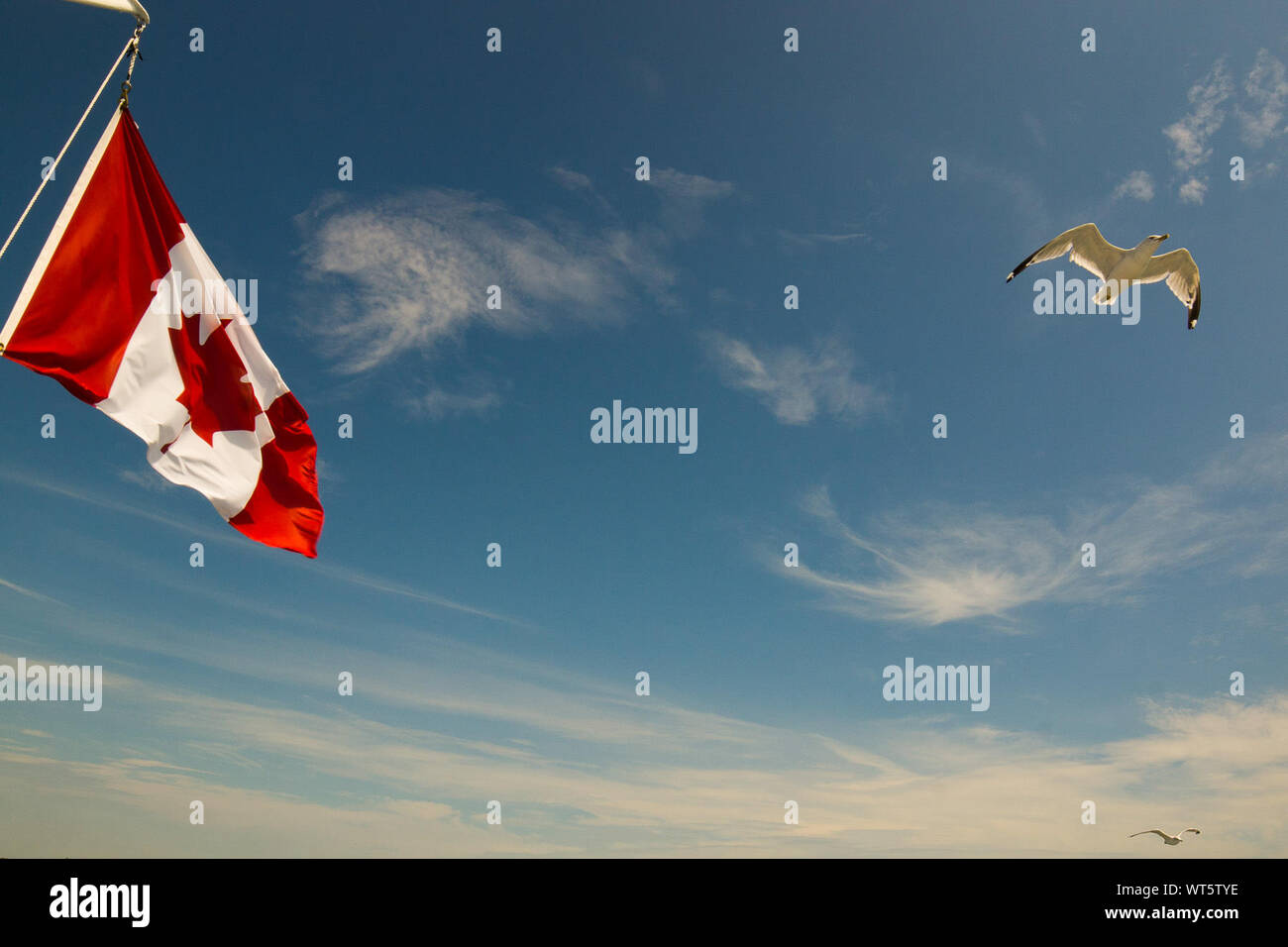 Canadian air view hi-res stock photography and images - Alamy