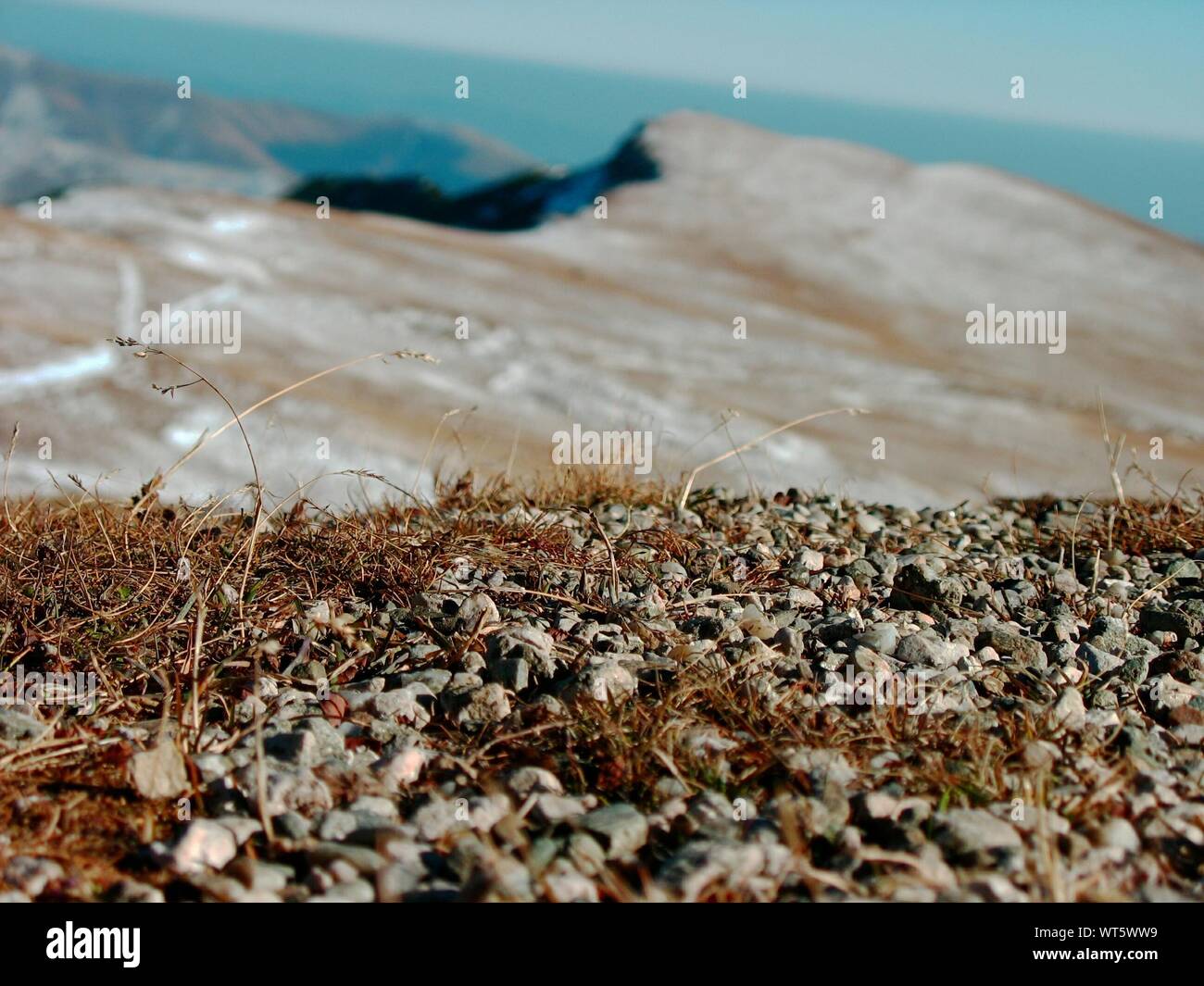 Edge of grass hi-res stock photography and images - Alamy