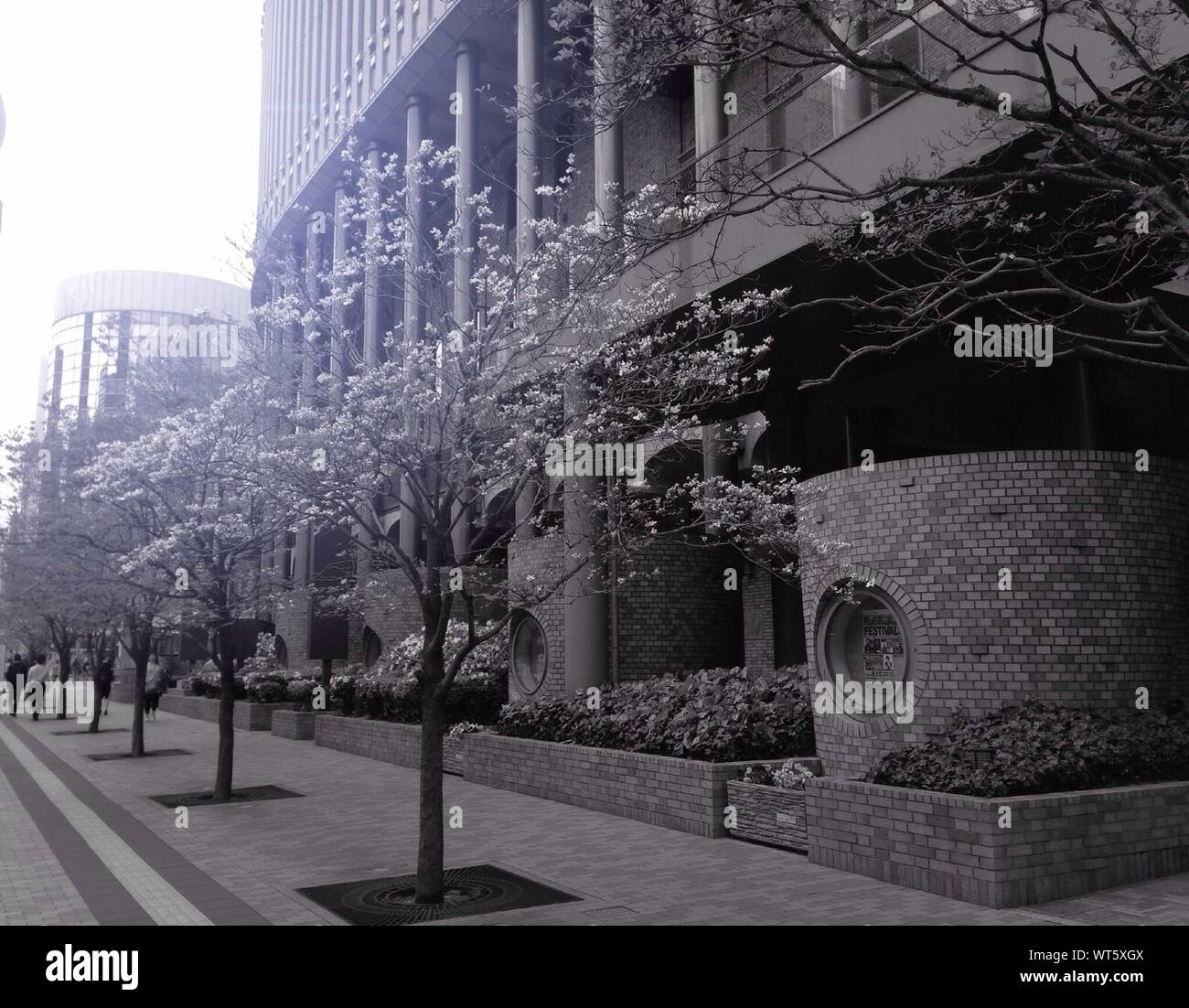 Pedestrian walking street hi-res stock photography and images - Alamy