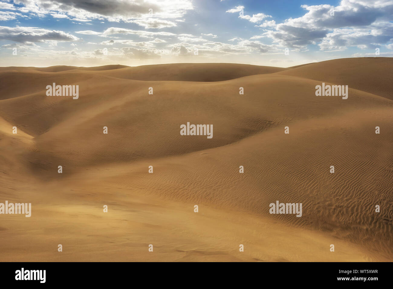 Whirled sand on the dunes of a desert during storm Stock Photo - Alamy