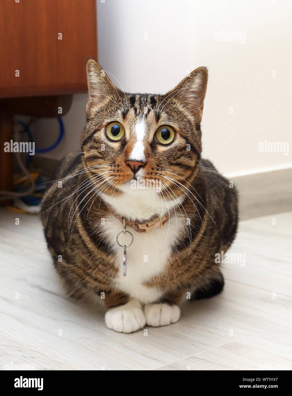 Front view portrait hi-res stock photography and images - Alamy