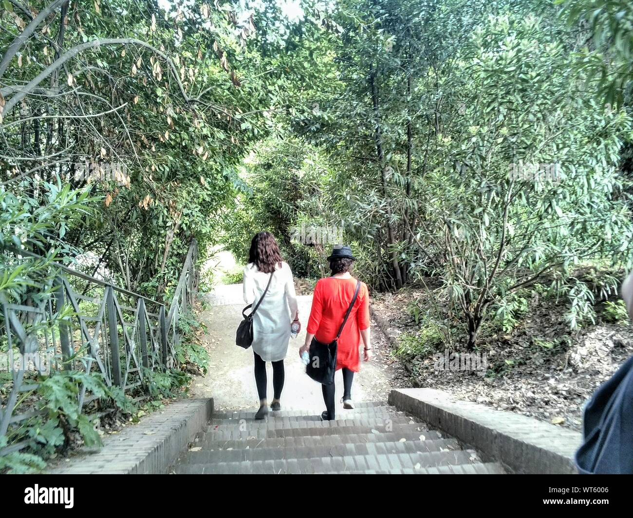 Women walking on stairs hi-res stock photography and images - Alamy