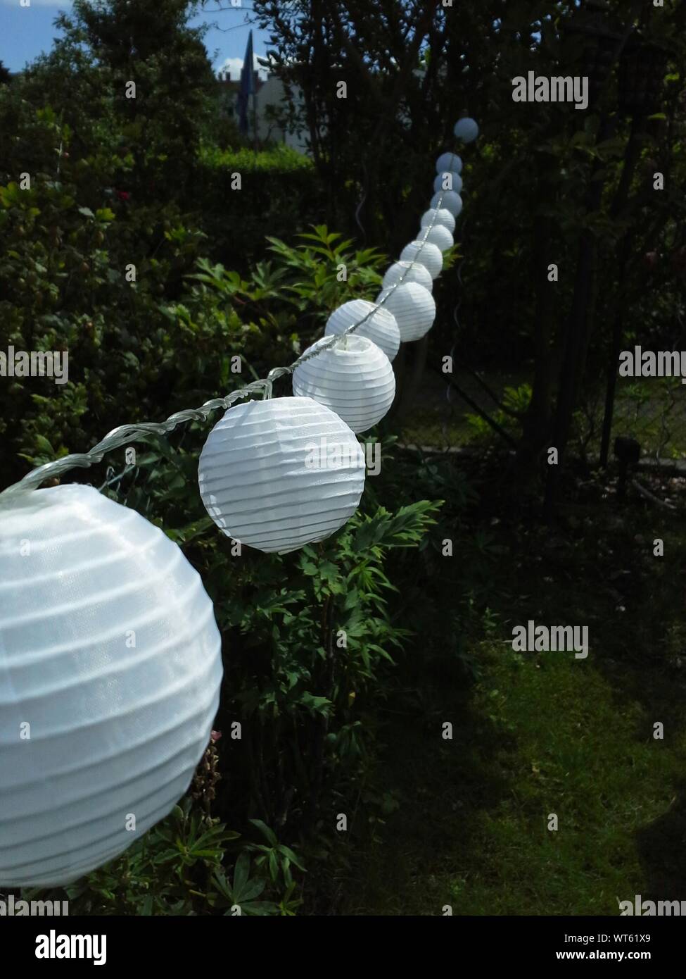 Lanterns In Trees High Resolution Stock Photography and Images - Alamy