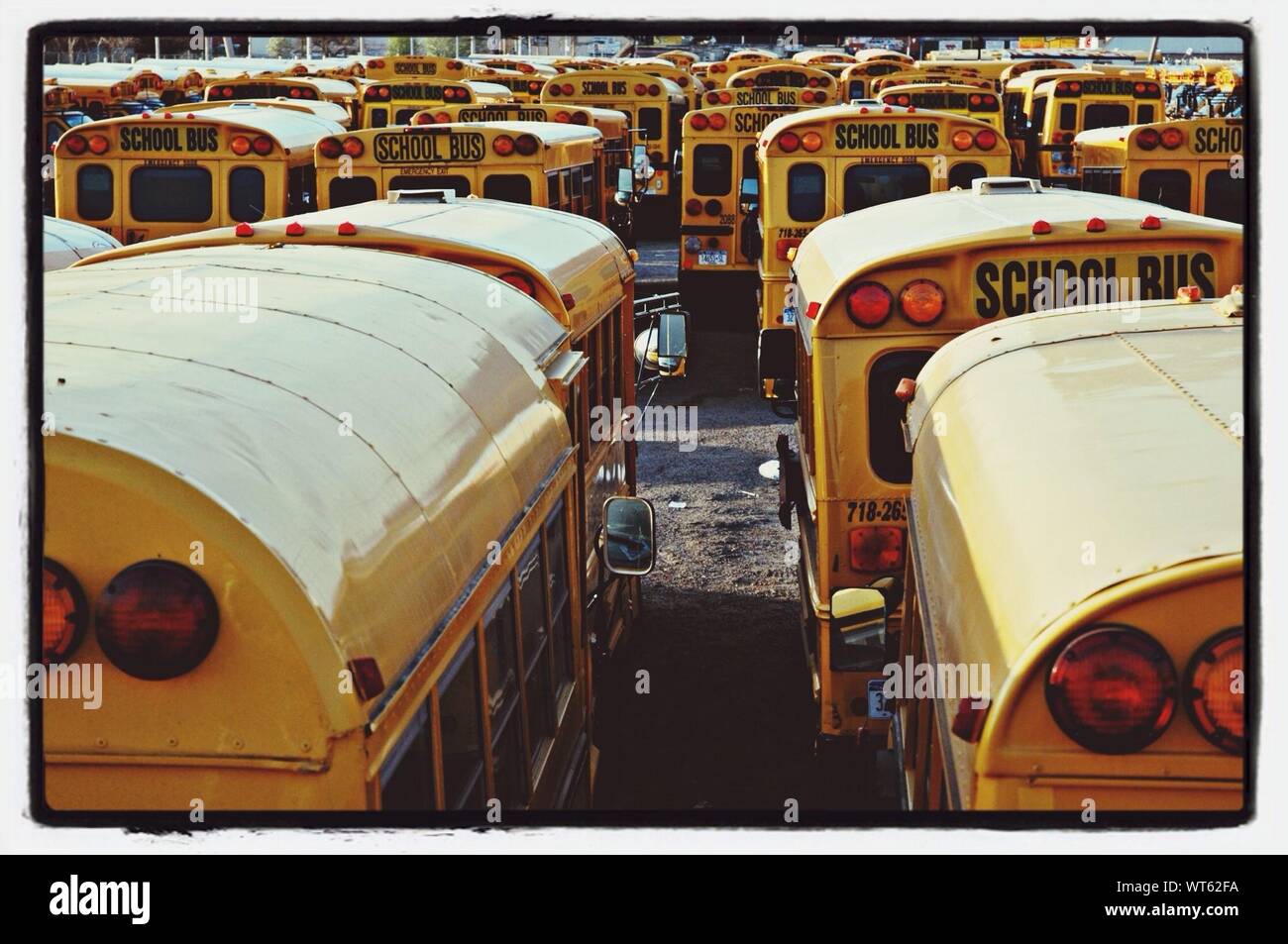 School Buses Parked In Parking High Resolution Stock Photography and ...