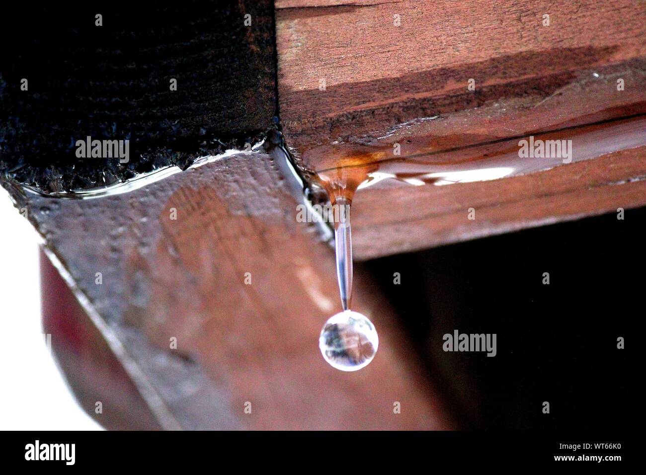 Drop ceiling hi-res stock photography and images - Alamy