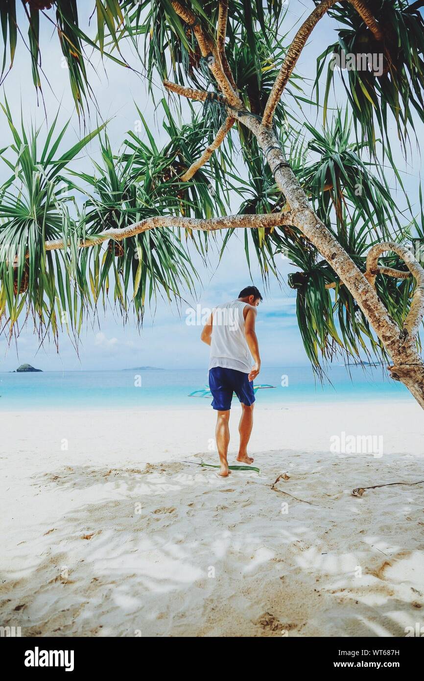 The walking tree hi-res stock photography and images - Alamy