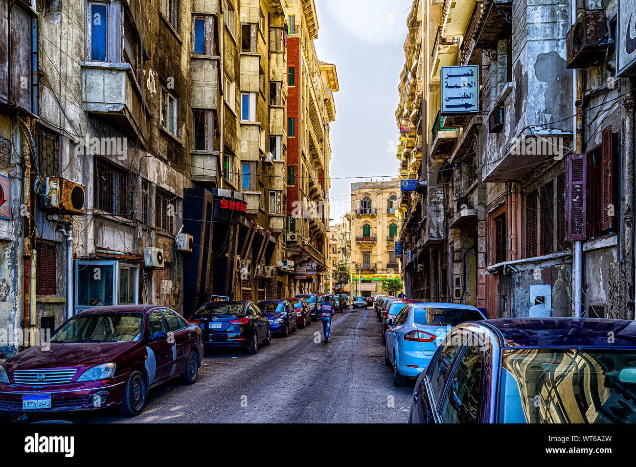 Beautiful Alexandria Streets
