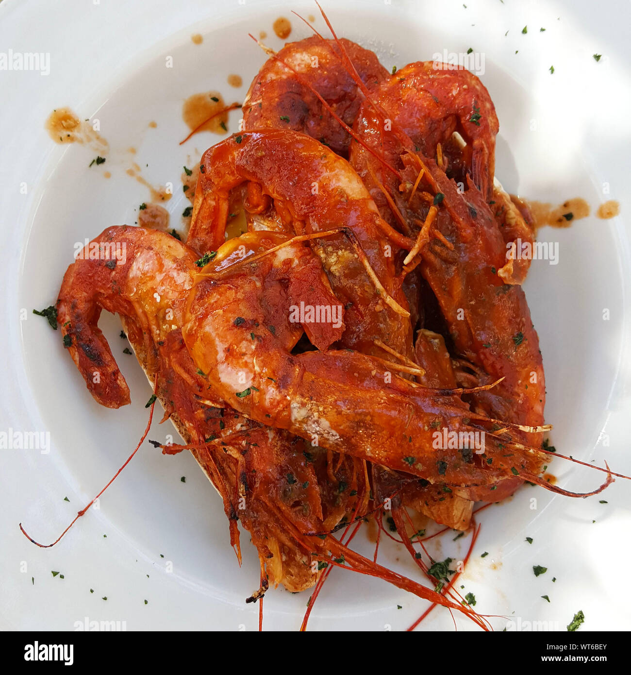 Concept of italian food. Prawns in tomato sauce with toasted bread ...
