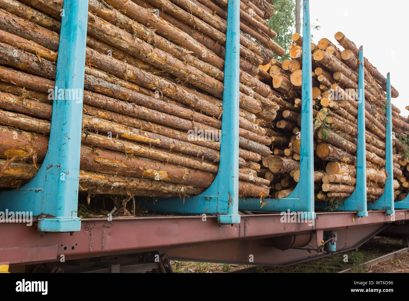Stock of timber. Loading of timber on railroad cars Stock Photo - Alamy