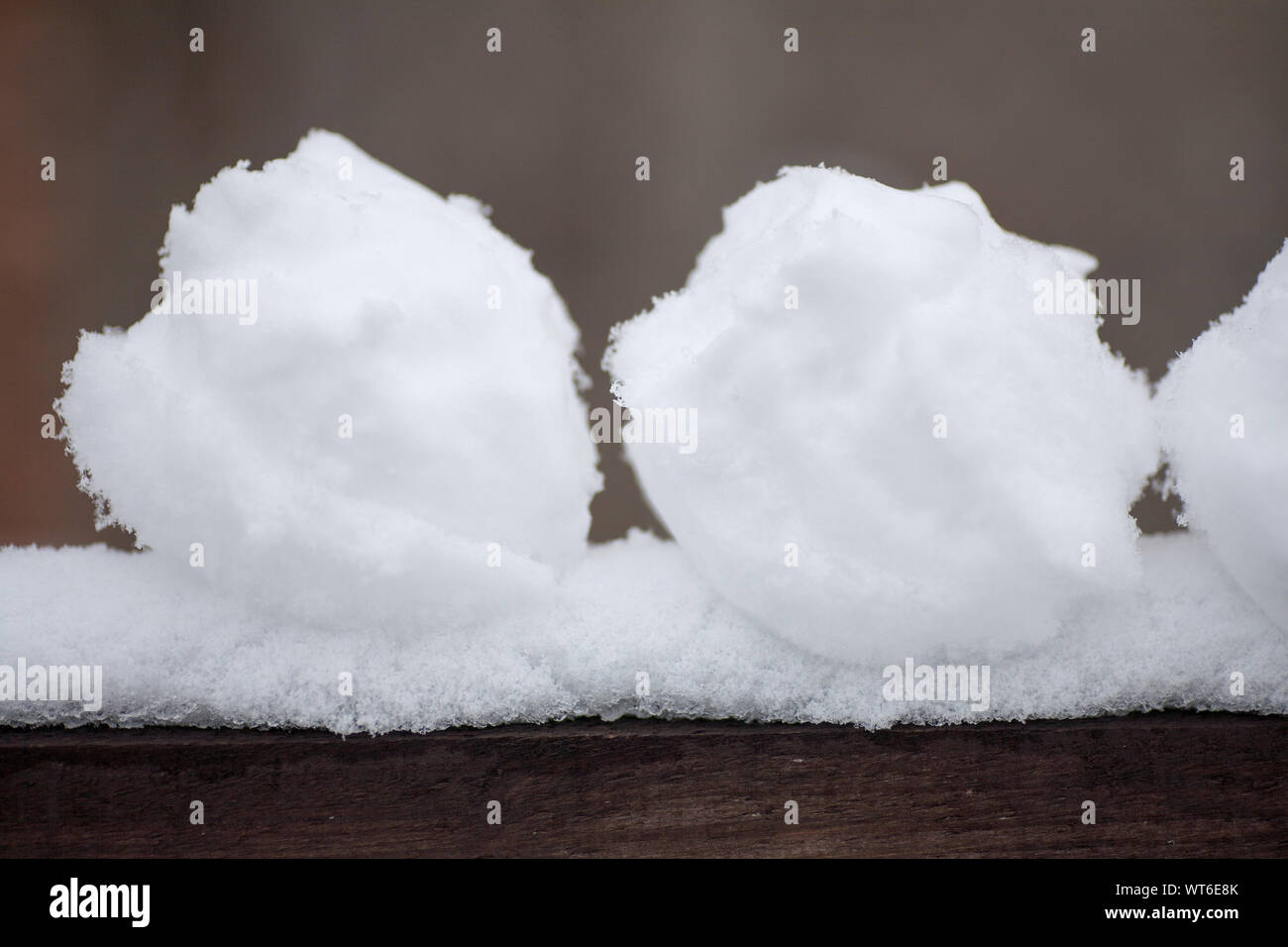 real snowballs with their hands clasped from the fresh snow in winter ...