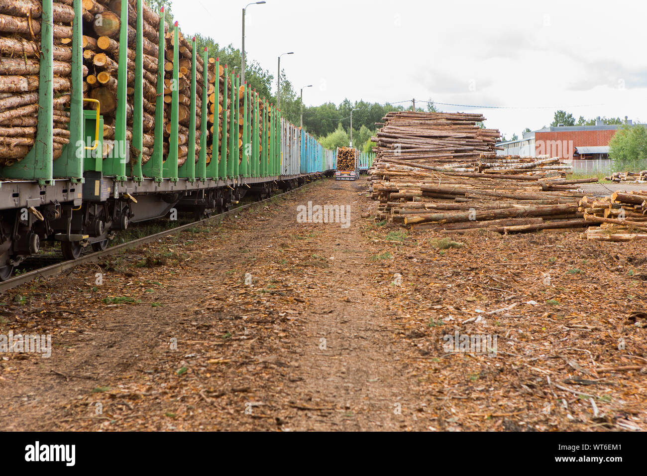 Loading of timber. Loader in work Stock Photo - Alamy