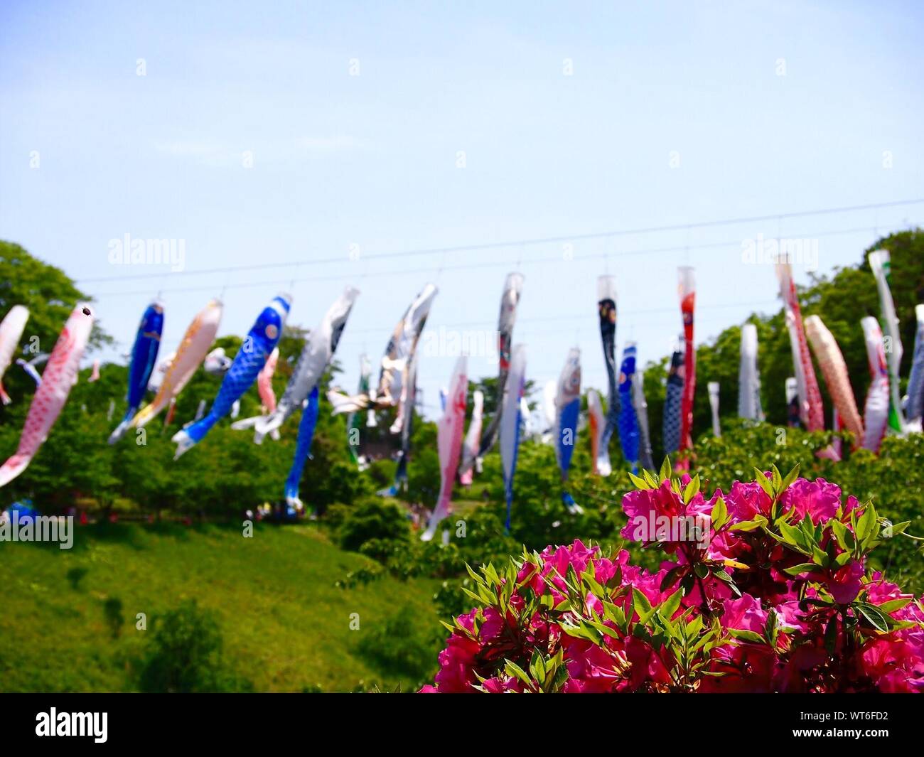 Japanese hanging streamer hi-res stock photography and images - Alamy