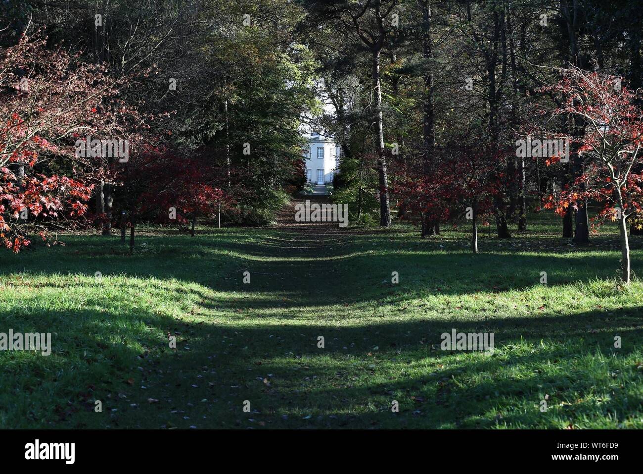 Sunlit pathway hi-res stock photography and images - Alamy