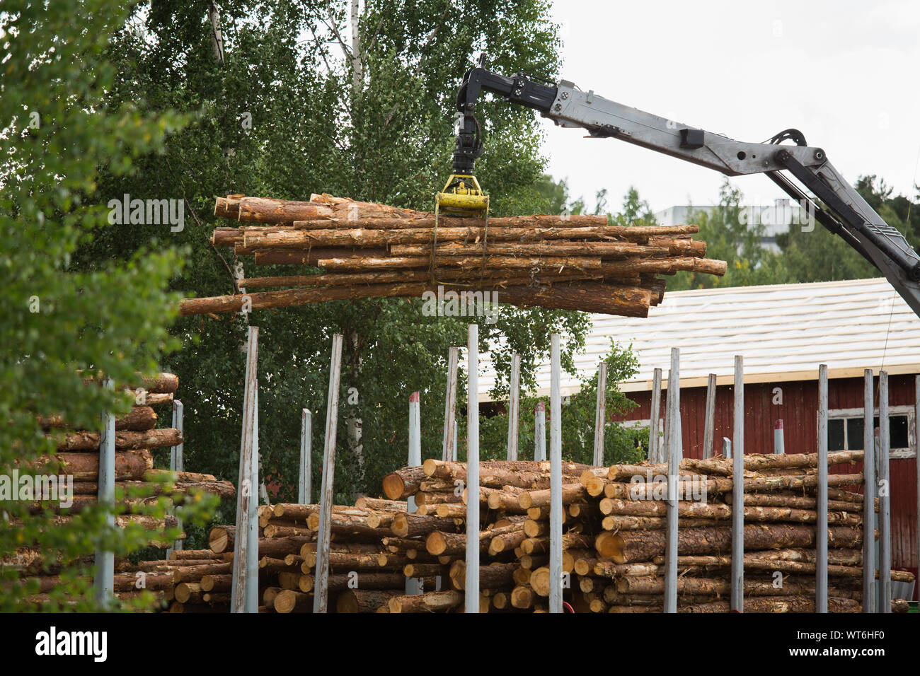 Loading of timber. Loader in work Stock Photo - Alamy