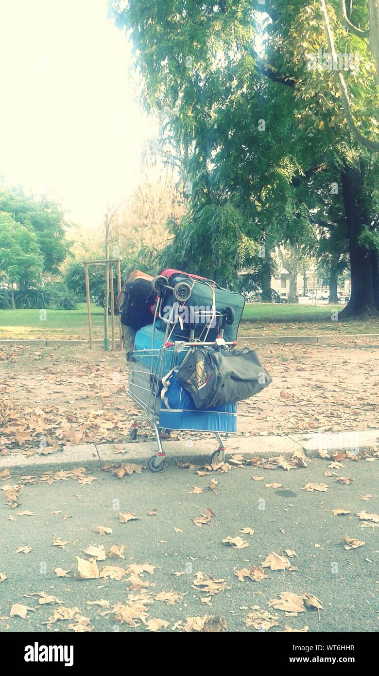 Overloaded shopping cart hi-res stock photography and images - Alamy