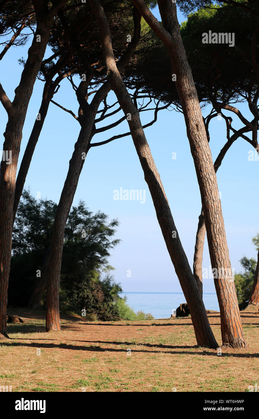 Baratti beach hi-res stock photography and images - Alamy