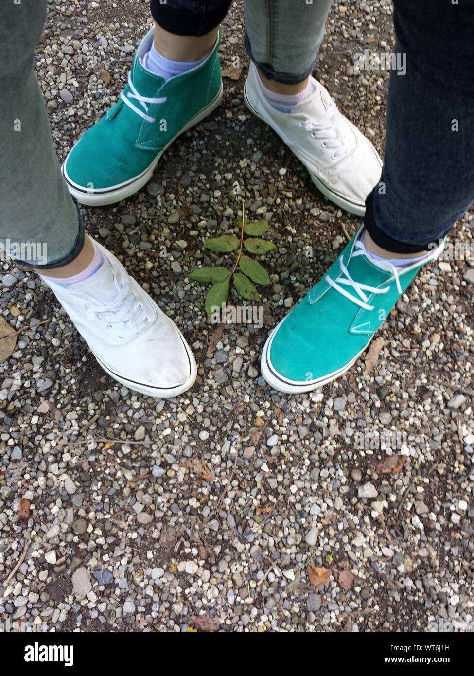 Girls legs hi-res stock photography and images - Alamy