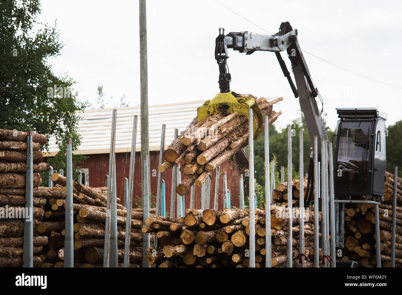Loading of timber. Loader in work Stock Photo - Alamy