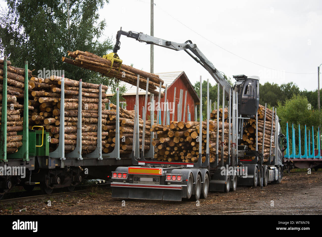 Loading of timber. Loader in work Stock Photo - Alamy