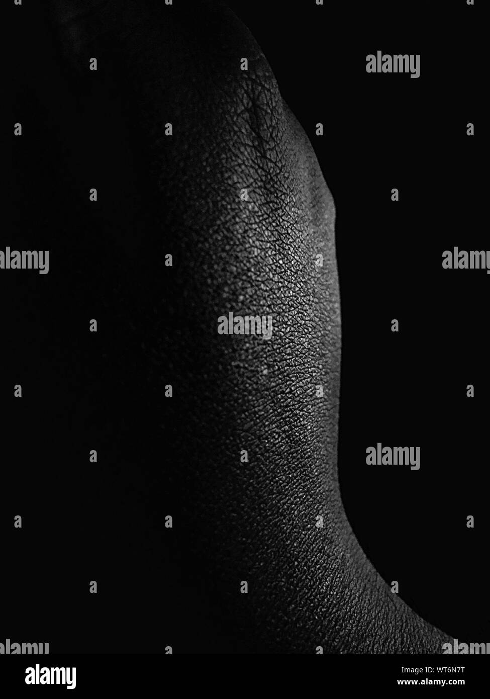 Skin close up human hi-res stock photography and images - Alamy