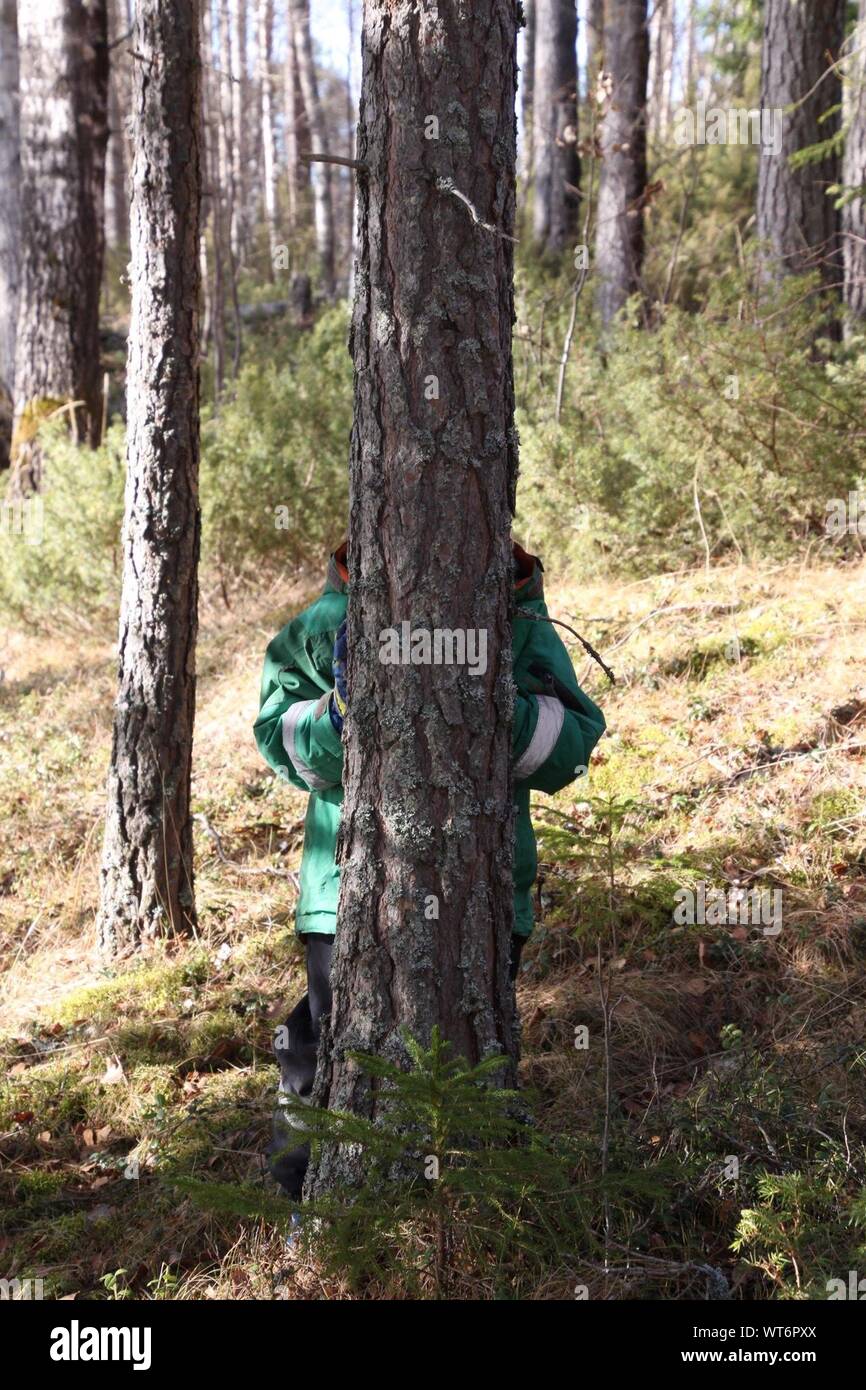 Boy hiding behind tree in hi-res stock photography and images - Alamy
