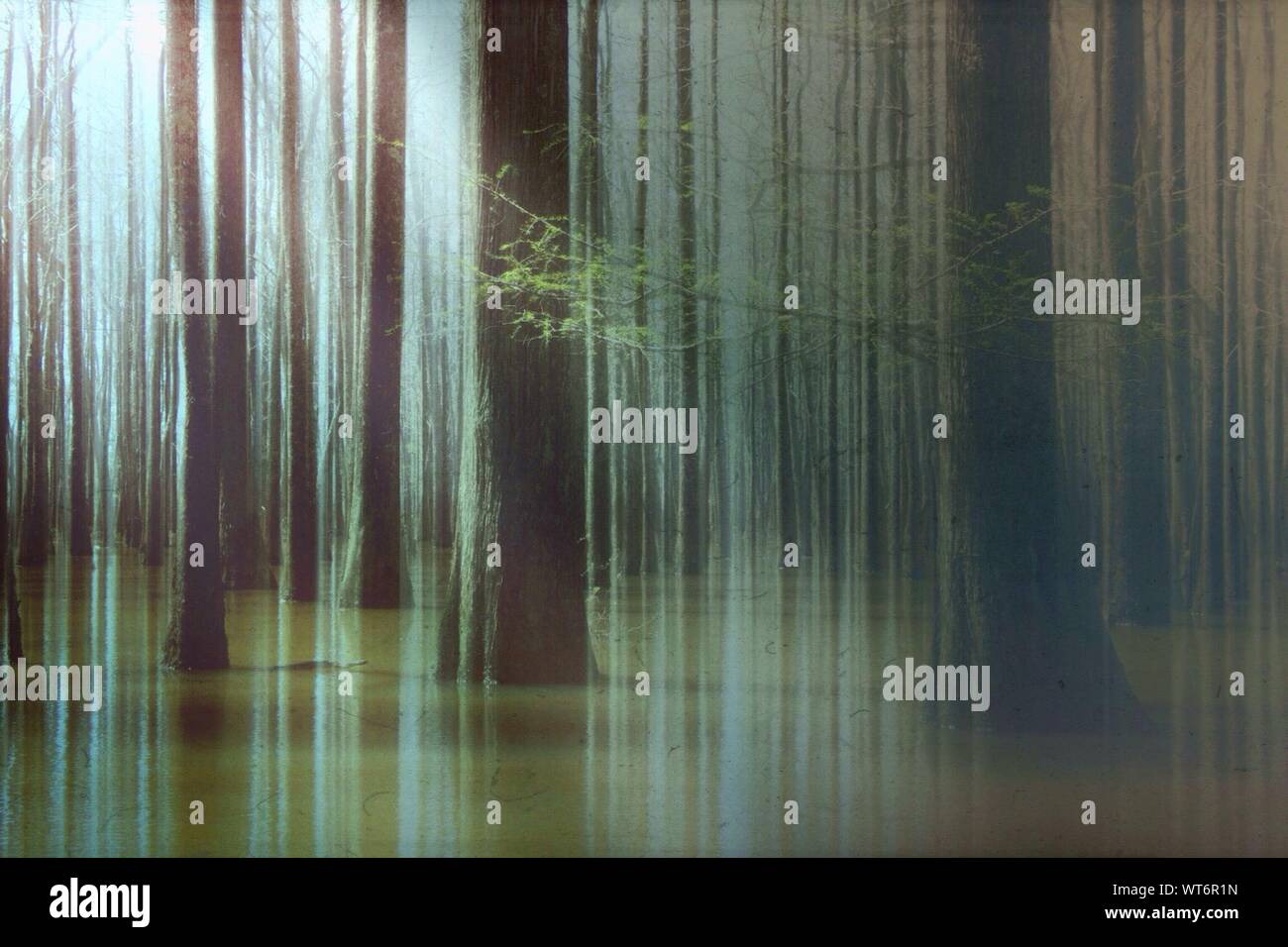 Manipulated image hi-res stock photography and images - Alamy