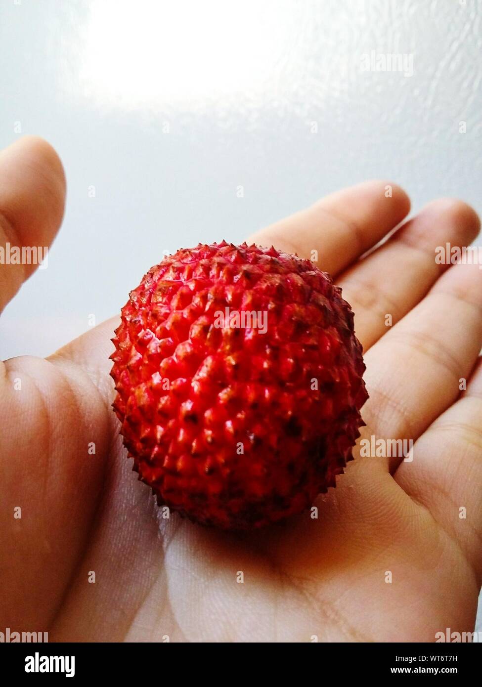 One lychee hi-res stock photography and images - Alamy