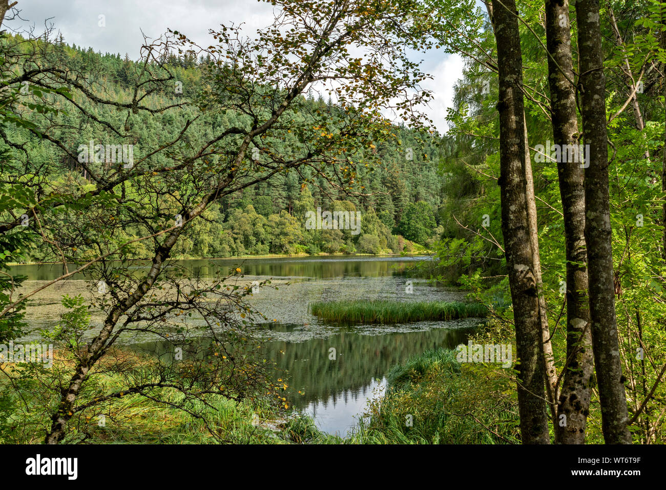 LOCH PARK ADVENTURE CENTRE DRUMMUIR MORAY SCOTLAND LOCH AT THE TOP END ...