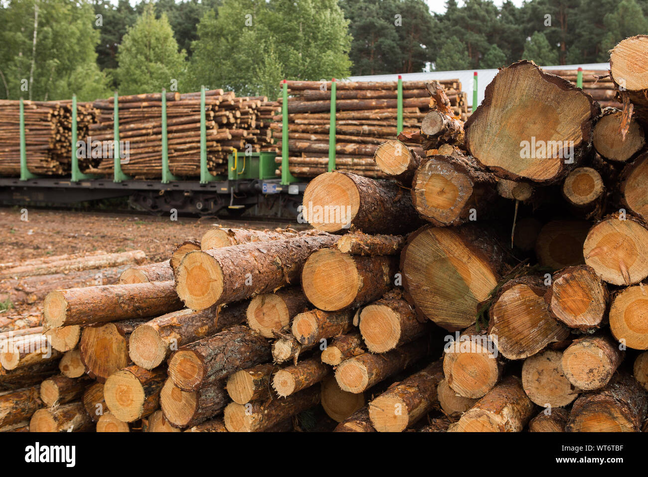 Lumber rail car hi-res stock photography and images - Alamy