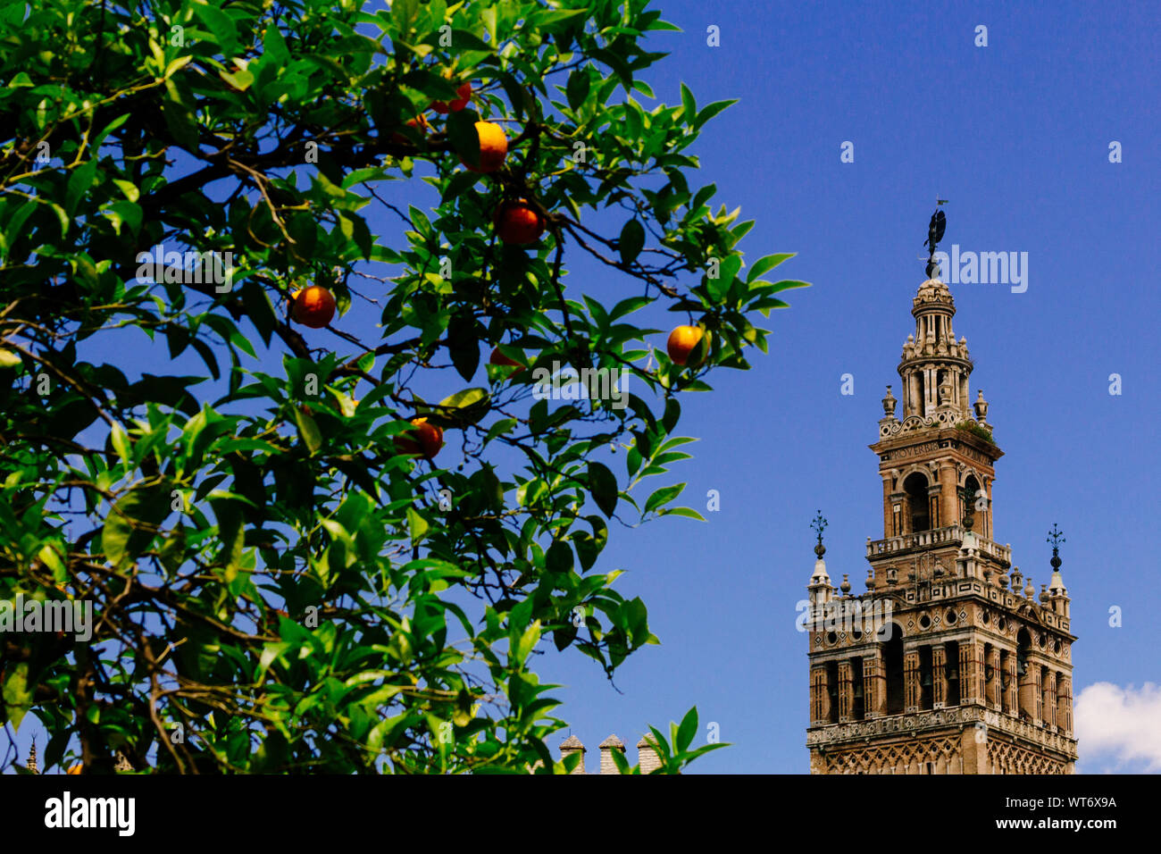 Gerald bell tower hi-res stock photography and images - Alamy